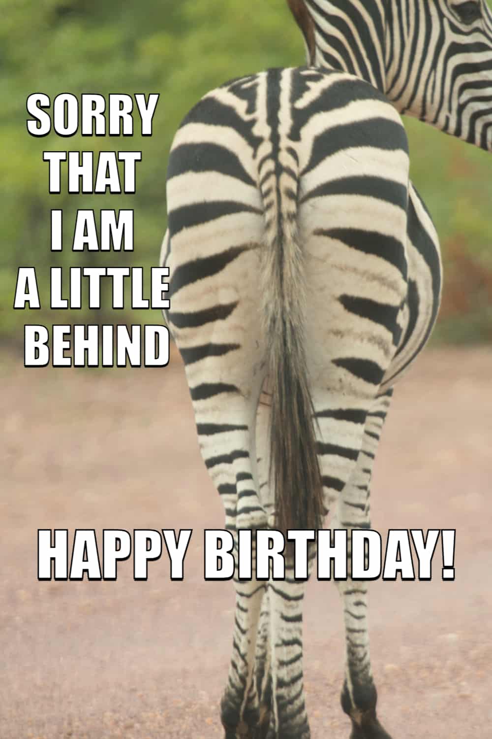 Belated birthday meme - 10 - Personalized Templates